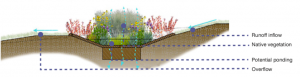 NJ Developers Green Insfrastructure Guide | Bioretention System