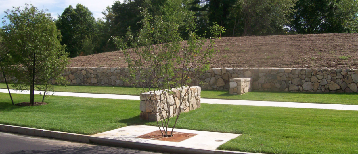 NJ Developers Green Insfrastructure Guide | What is Green Infrastructure?